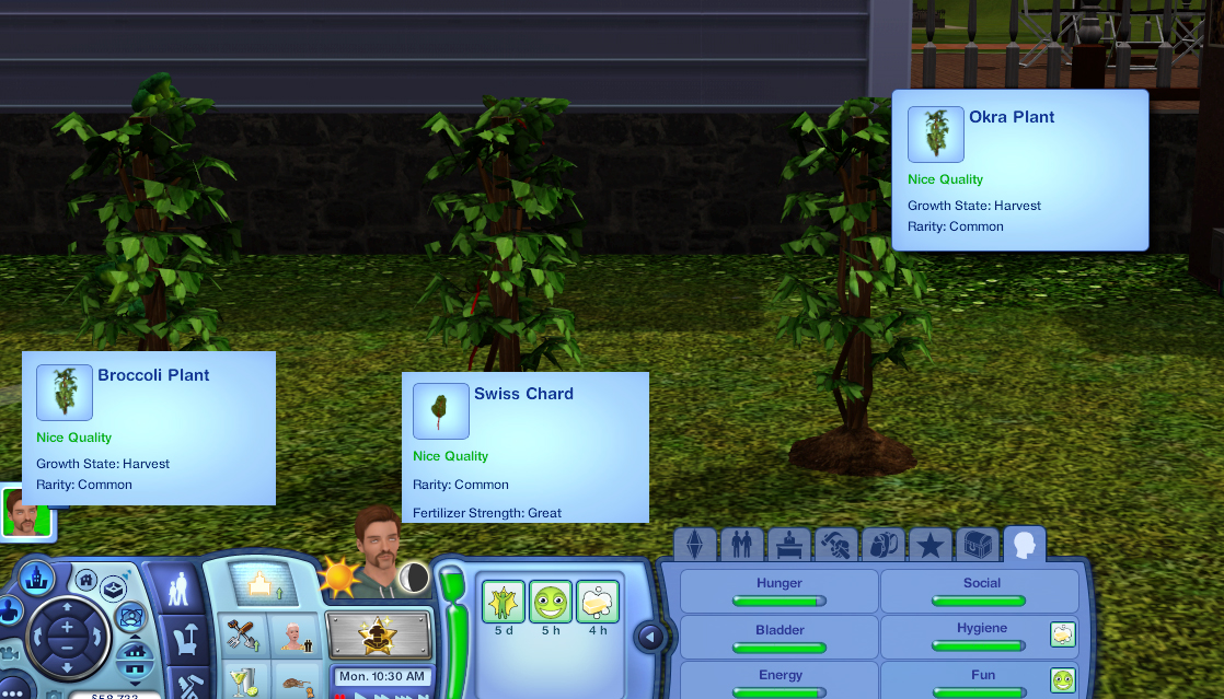 Mod The Sims - Green Vegetable Plants,Ingredients and Recipes(Update:23 ...