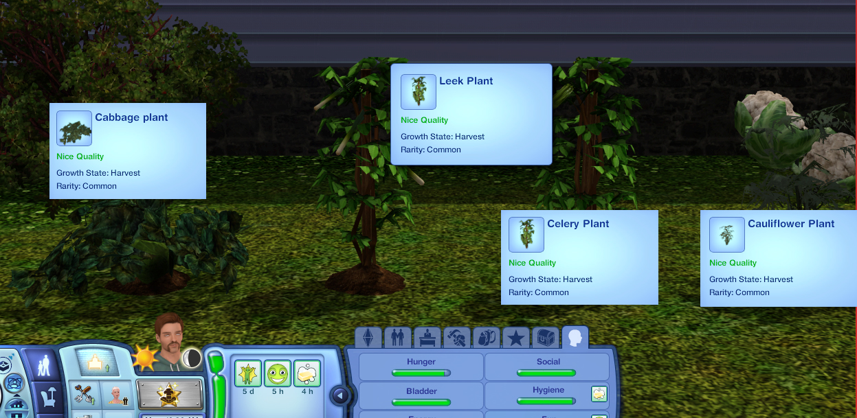 Mod The Sims - Green Vegetable Plants,Ingredients and Recipes(Update:23 ...