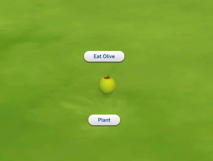 Mod The Sims - Harvestable Olive Tree
