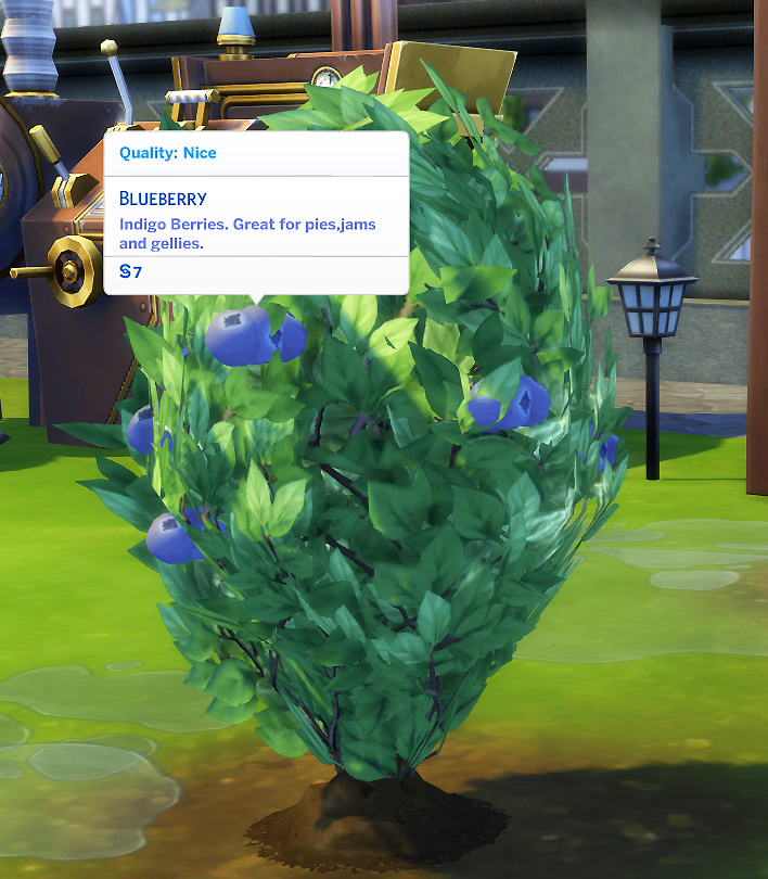 Mod The Sims - Harvestable Blueberry Plant