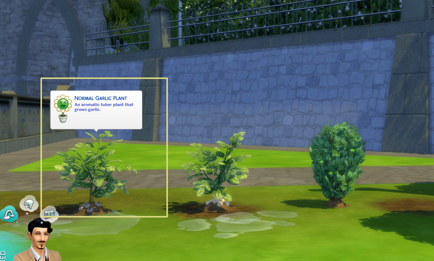 Mod The Sims - Trio of Veggies - Custom Garlic, Parsnip and Cucumber