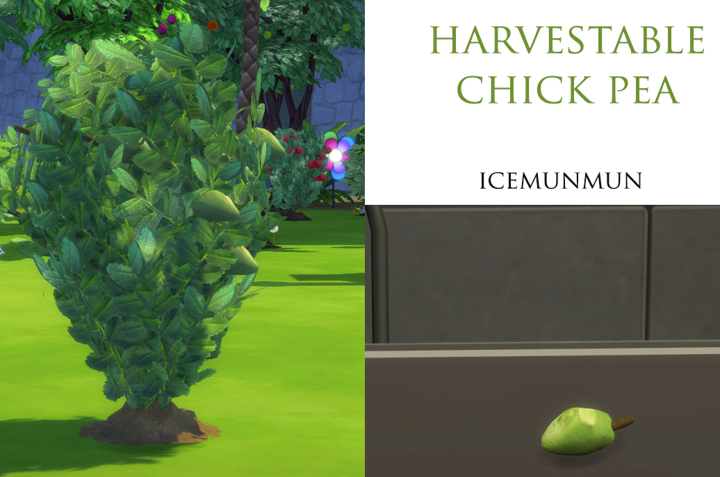 Mod The Sims - Custom Harvestable ChickPea