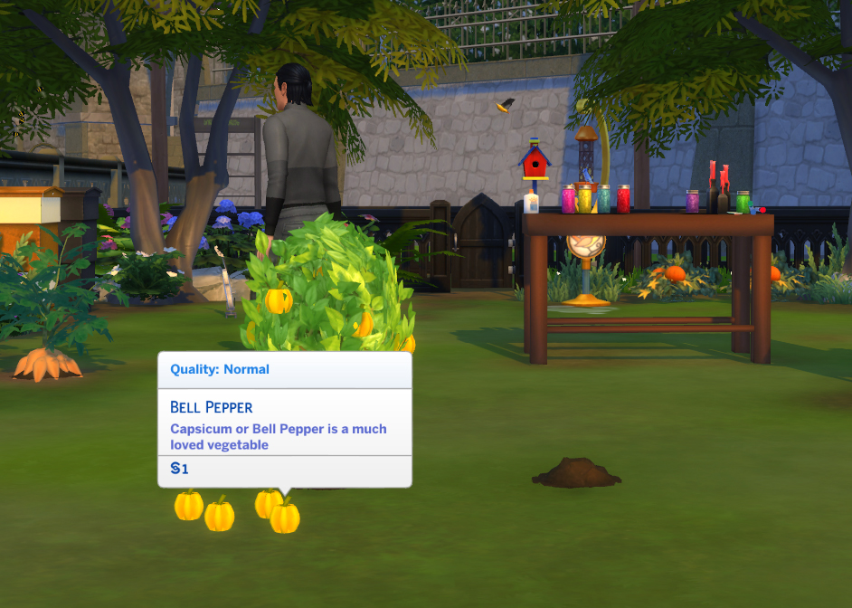 Mod The Sims - Harvestable Bell Pepper