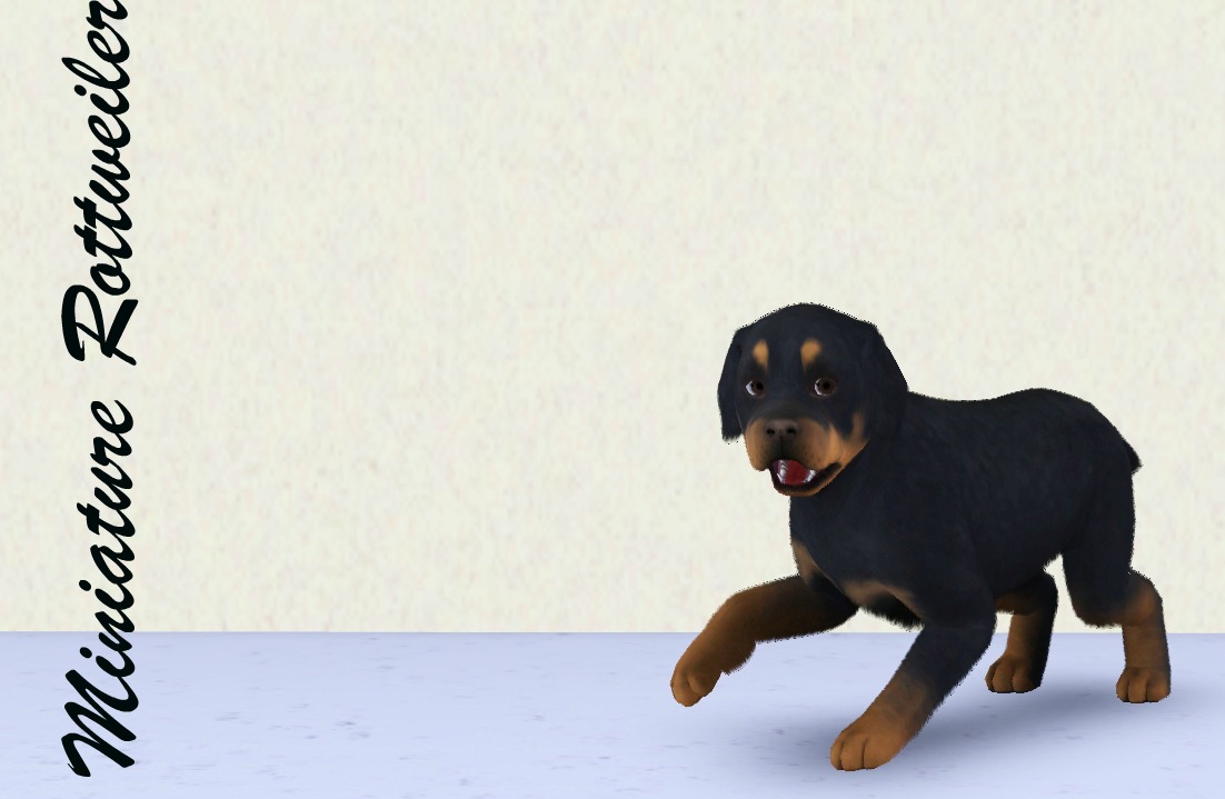 Mod The Sims - Miniature Breeds - Part two