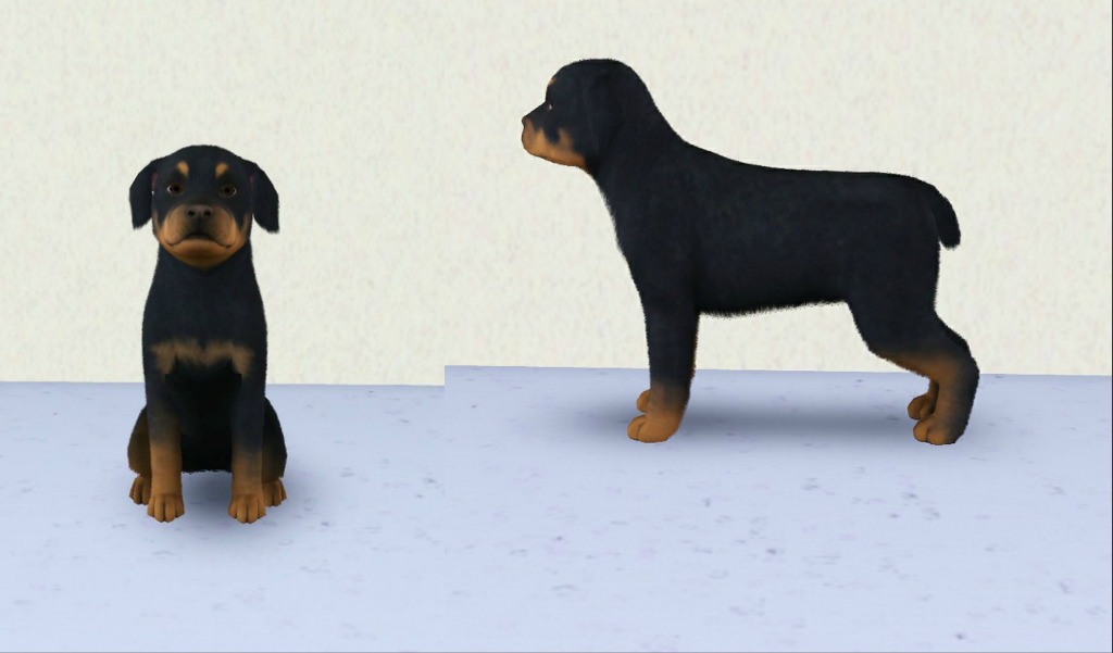Mod The Sims - Miniature Breeds - Part two
