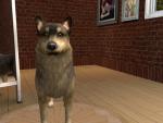 Mod The Sims - The wolf pack
