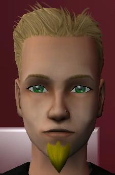 Mod The Sims - Beards and Hair!