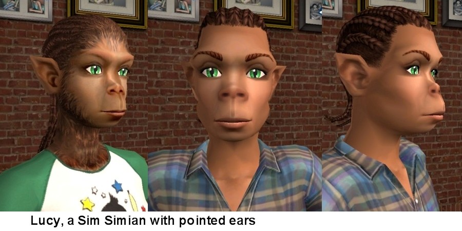 Mod The Sims - Some Sim Simian faces for your hood