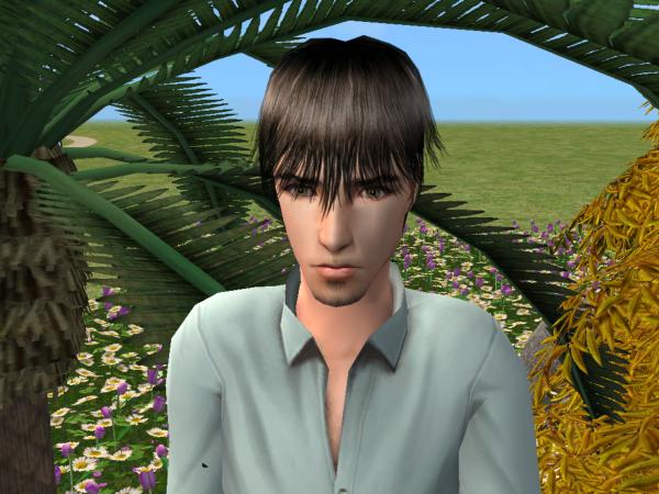 Mod The Sims - Aiden