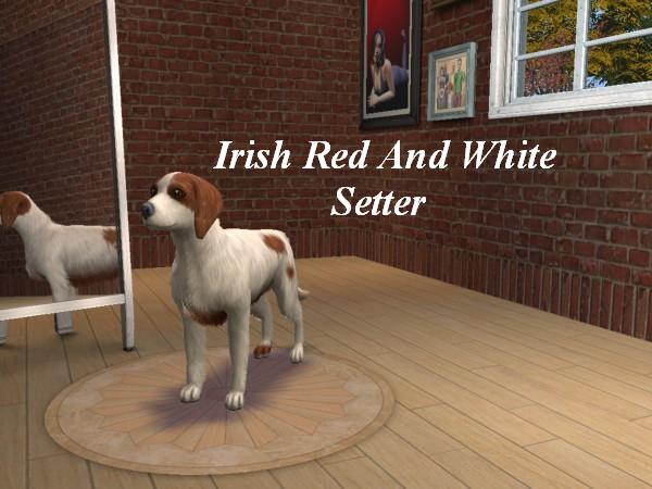 Mod The Sims - Various Setter breeds