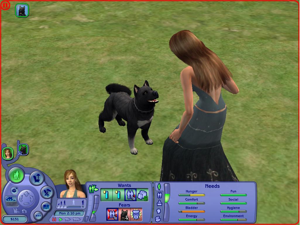 balto sims