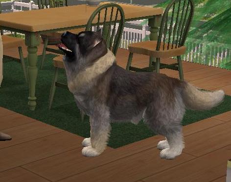 Mod The Sims - Caucasian dog
