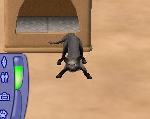 Mod The Sims - My tribute to Savantinamorata's Harpies!