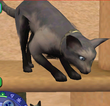 Mod The Sims - My tribute to Savantinamorata's Harpies!