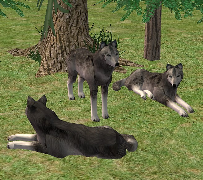 Mod The Sims - Wolves - standing & laying UPDATE 10-6-06