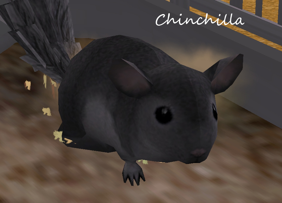 Mod The Sims - !Updated 01/13/2012!: Animated Lizards and Rodents