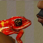 Mod The Sims - !Updated 01/13/2012!: Animated Lizards and Rodents