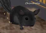 Mod The Sims - !Updated 01/13/2012!: Animated Lizards and Rodents