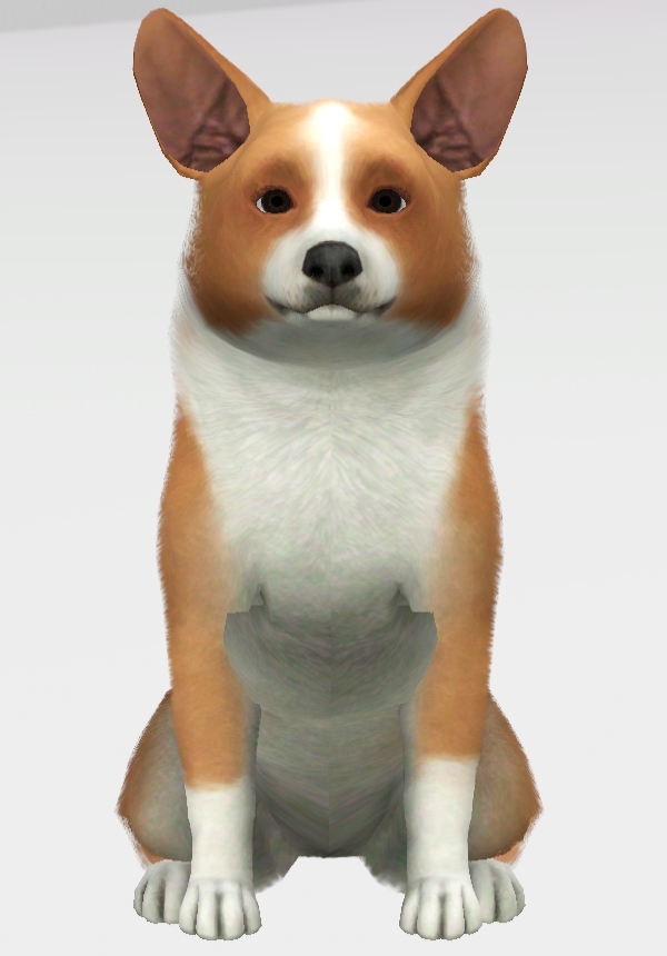 Mod The Sims - Improved Pembroke Welsh Corgis