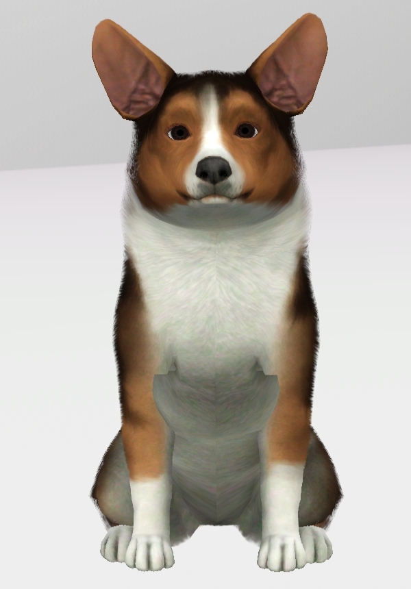 Mod The Sims - Improved Pembroke Welsh Corgis