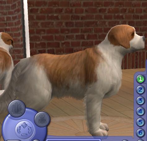 Mod The Sims - Saint Bernard - the classic "rescue dog"!!