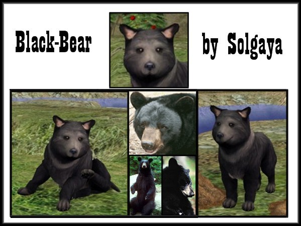 Mod The Sims - The Bears "Polar Bear","Brown Bear","Black Bear" and ...