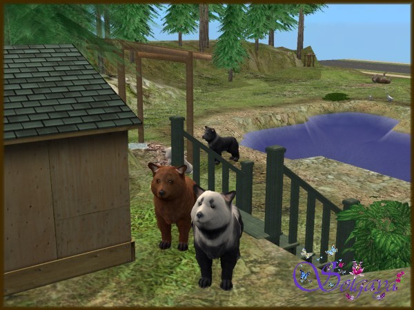 Mod The Sims - The Bears "Polar Bear","Brown Bear","Black Bear" and ...