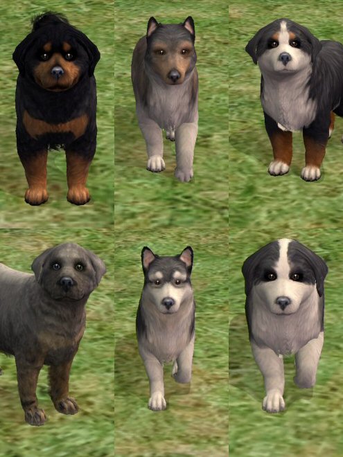 Mod The Sims - Puppy Love II