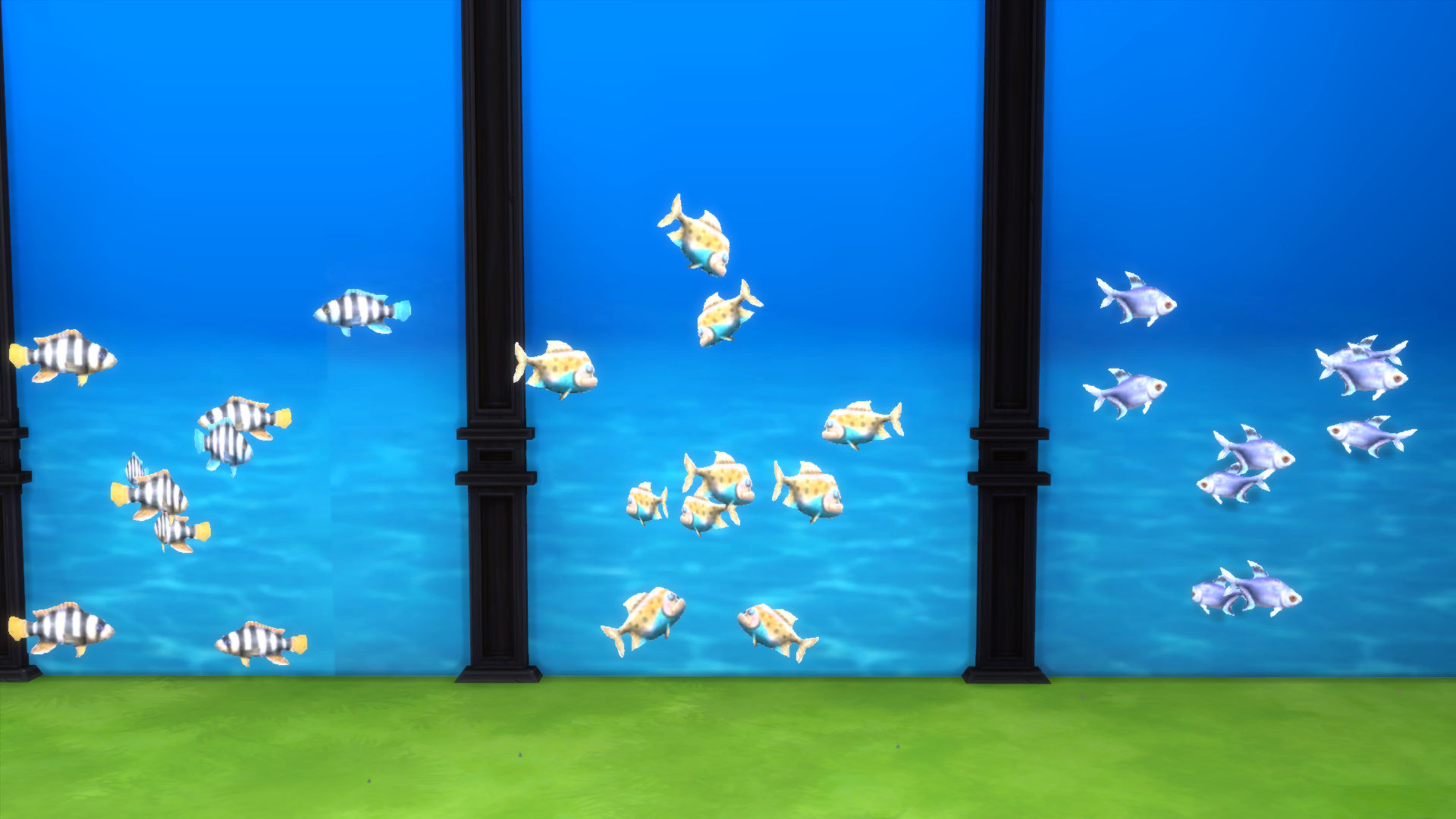 Mod The Sims - Under the Sea IV: Marine Fishies