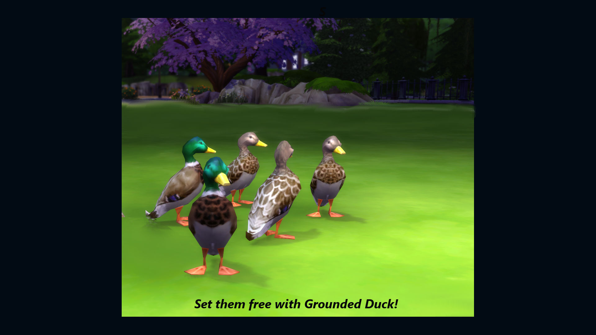 Mod The Sims - Free the Ducks!