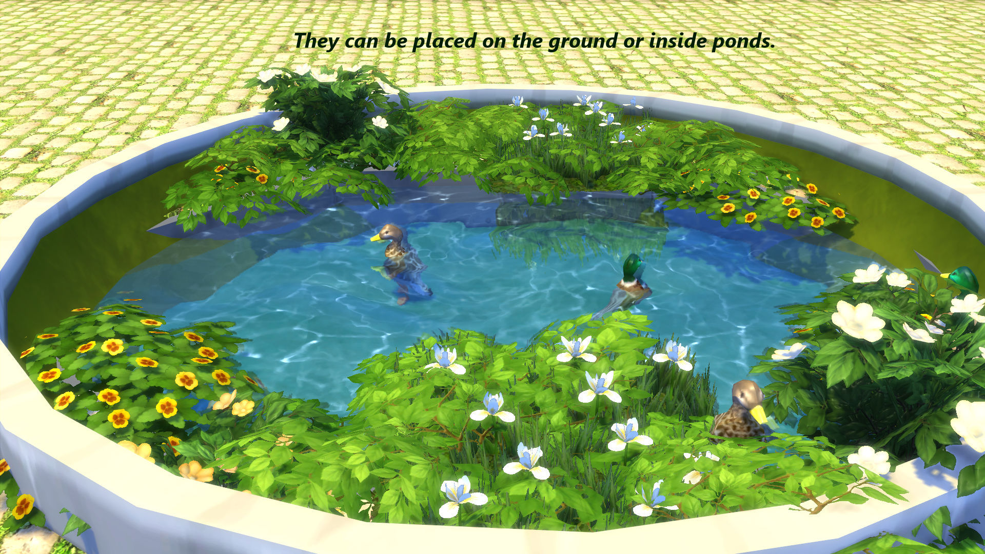 Mod The Sims - Free the Ducks!