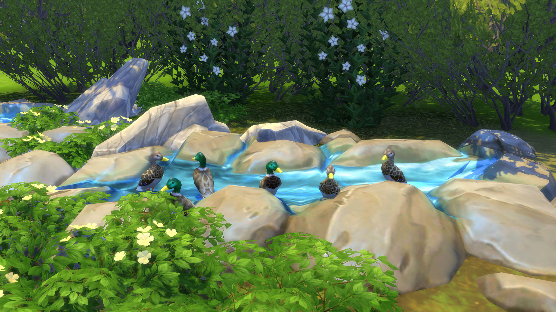 Mod The Sims - Free the Ducks!