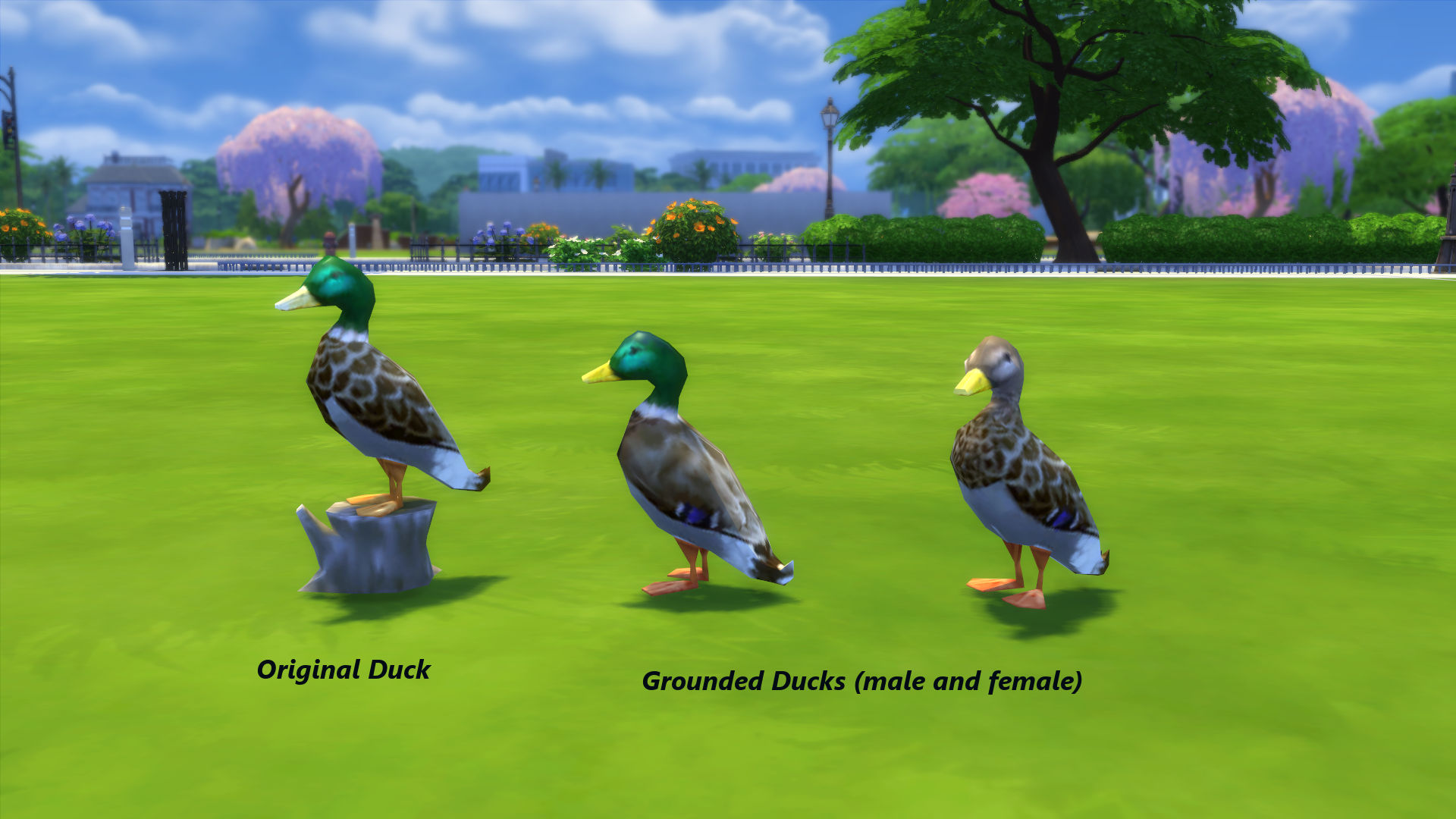Mod The Sims - Free the Ducks!