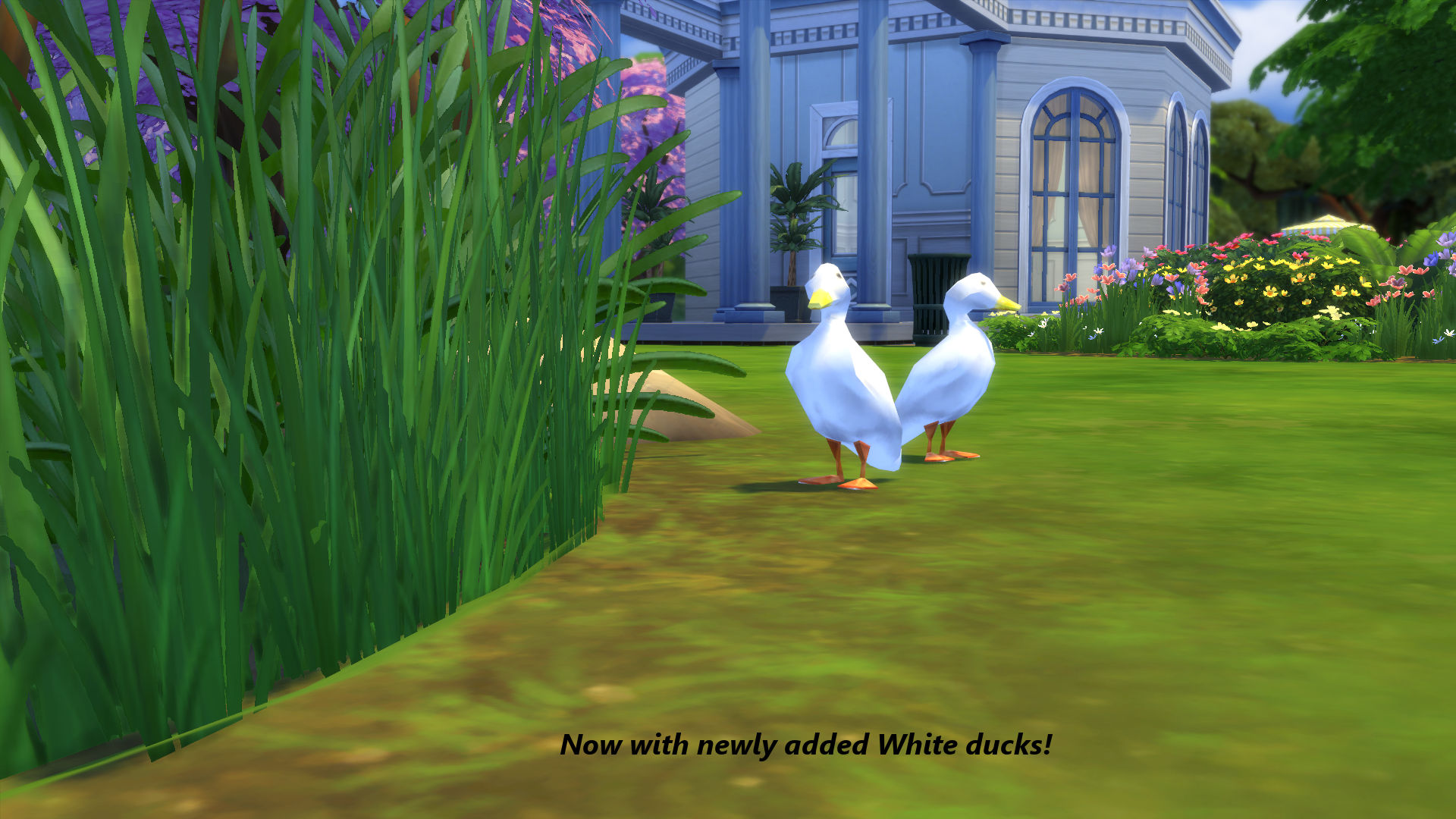 Mod The Sims - Free the Ducks!