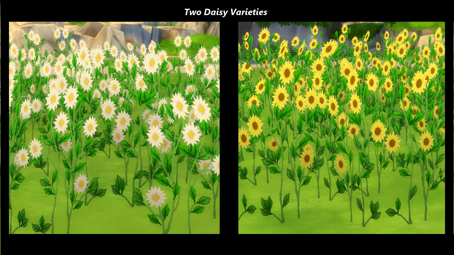 Mod The Sims - Early Spring: Fields of Wildflowers