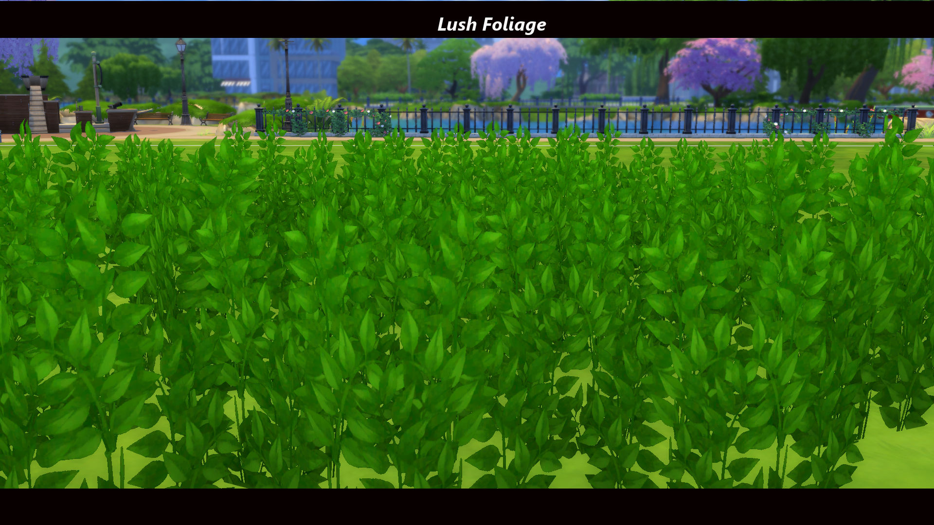 Mod The Sims - Early Spring: Fields of Wildflowers