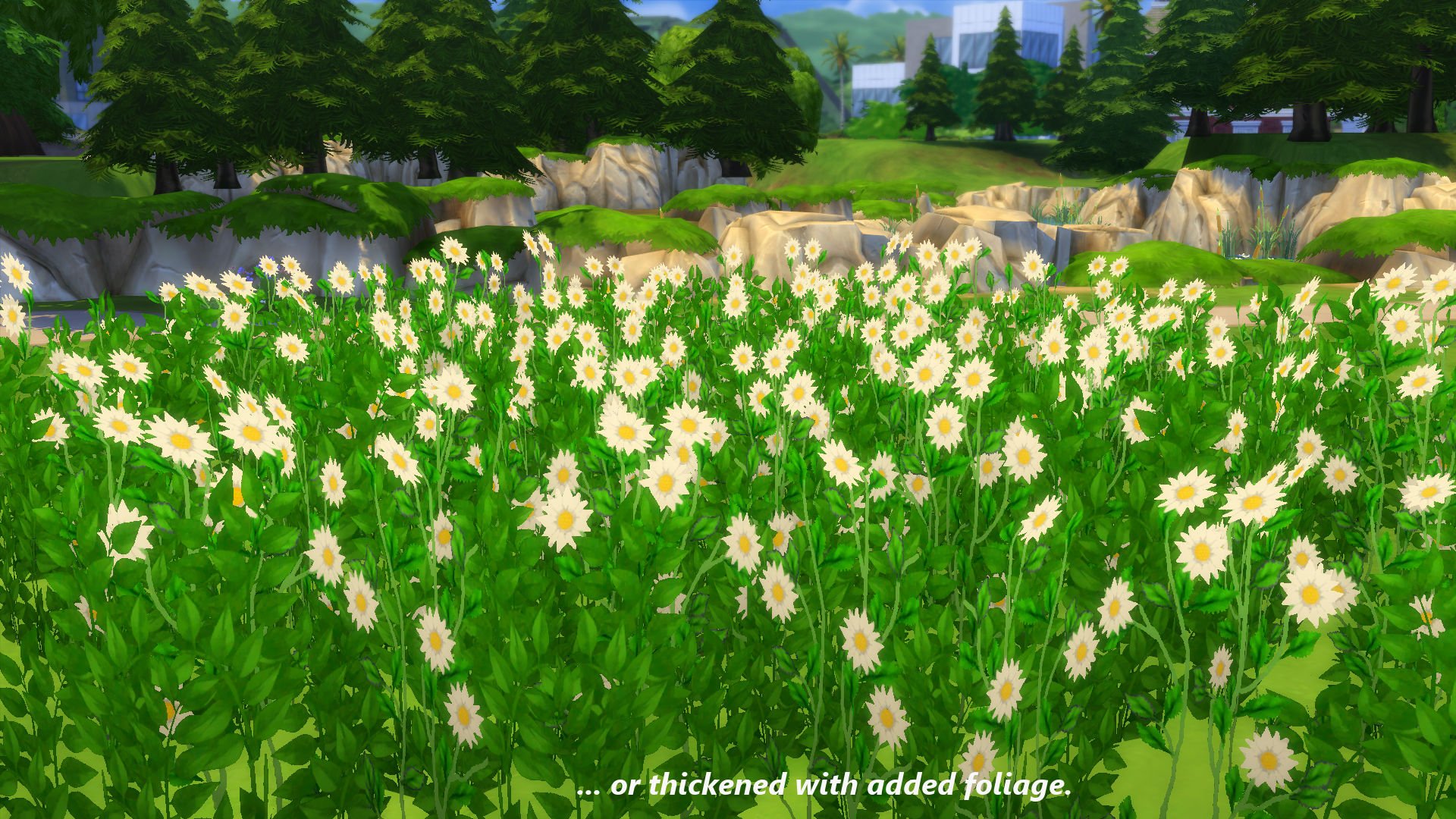 Mod The Sims - Early Spring: Fields of Wildflowers