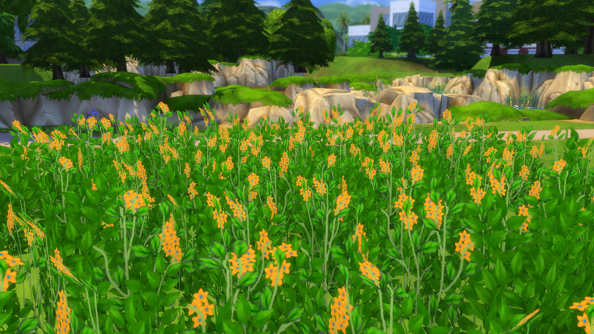 Mod The Sims - Early Spring: Fields of Wildflowers