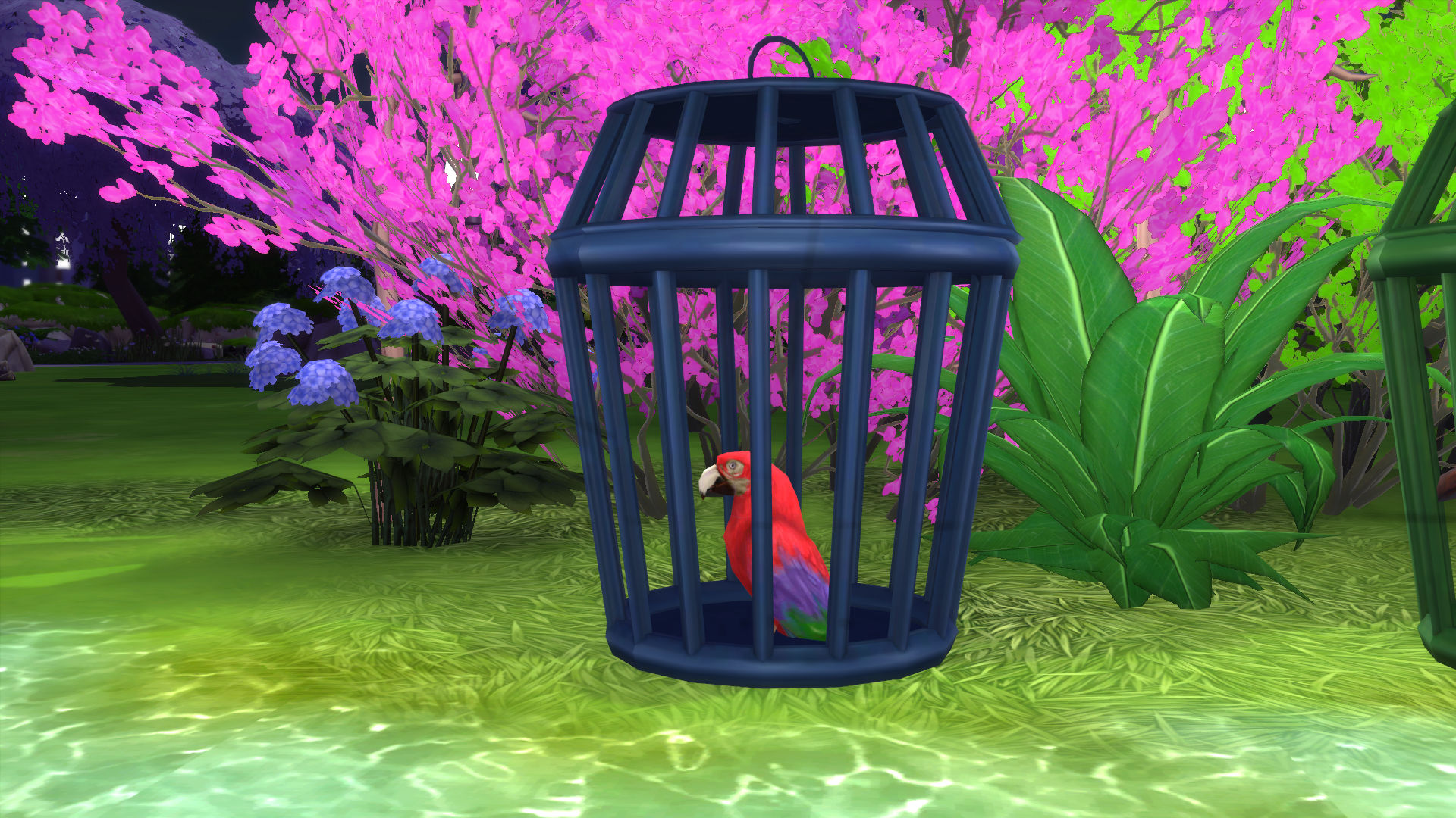Mod The Sims - Sturdy Birdie Bird Cage