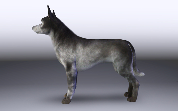 Mod The Sims - Fallout 3 - Dogmeat & Puppy