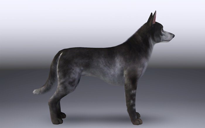 Mod The Sims - Fallout 3 - Dogmeat & Puppy