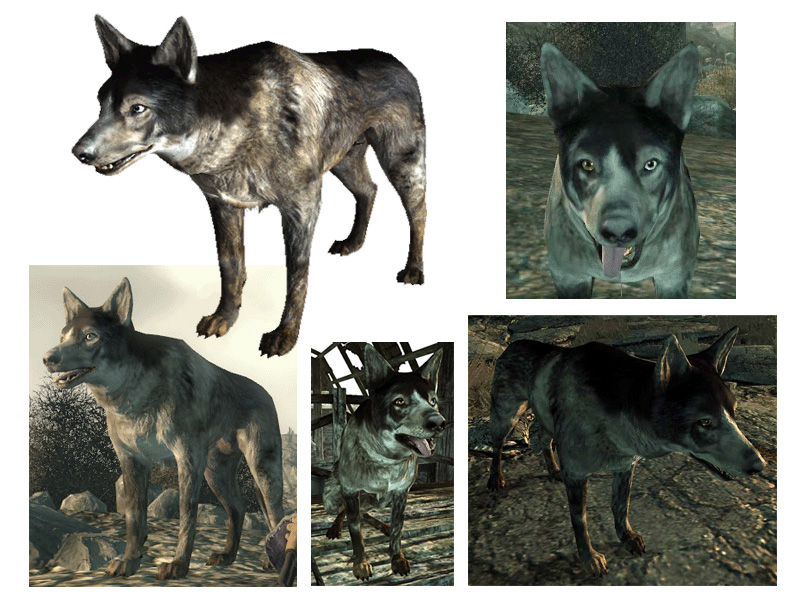 Mod The Sims - Fallout 3 - Dogmeat & Puppy