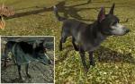 Mod The Sims - Fallout 3 - Dogmeat & Puppy