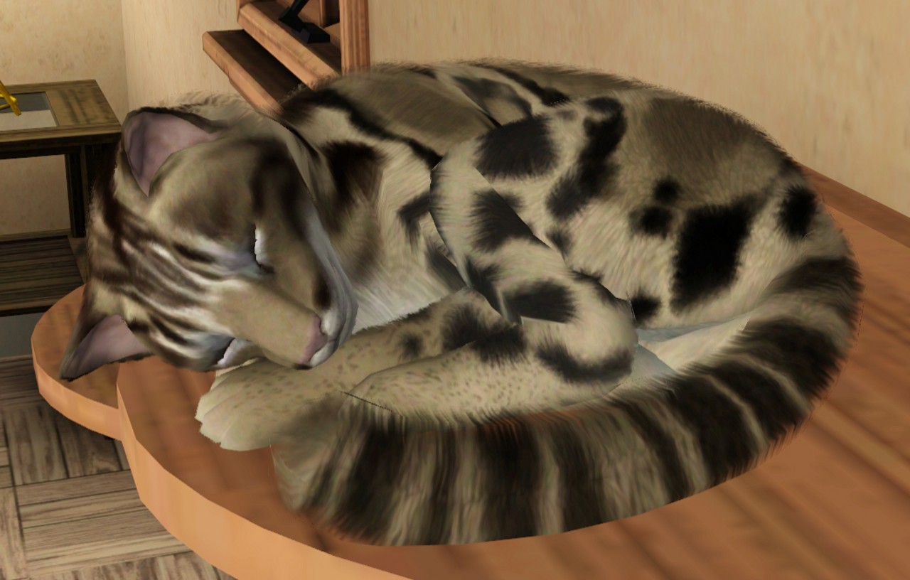 clouded leopard pet names