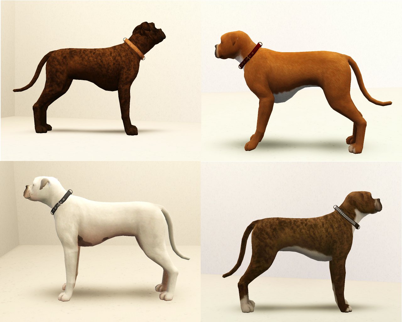 Mod The Sims - Bountiful Boxers: 4 very different dogs up for adoption