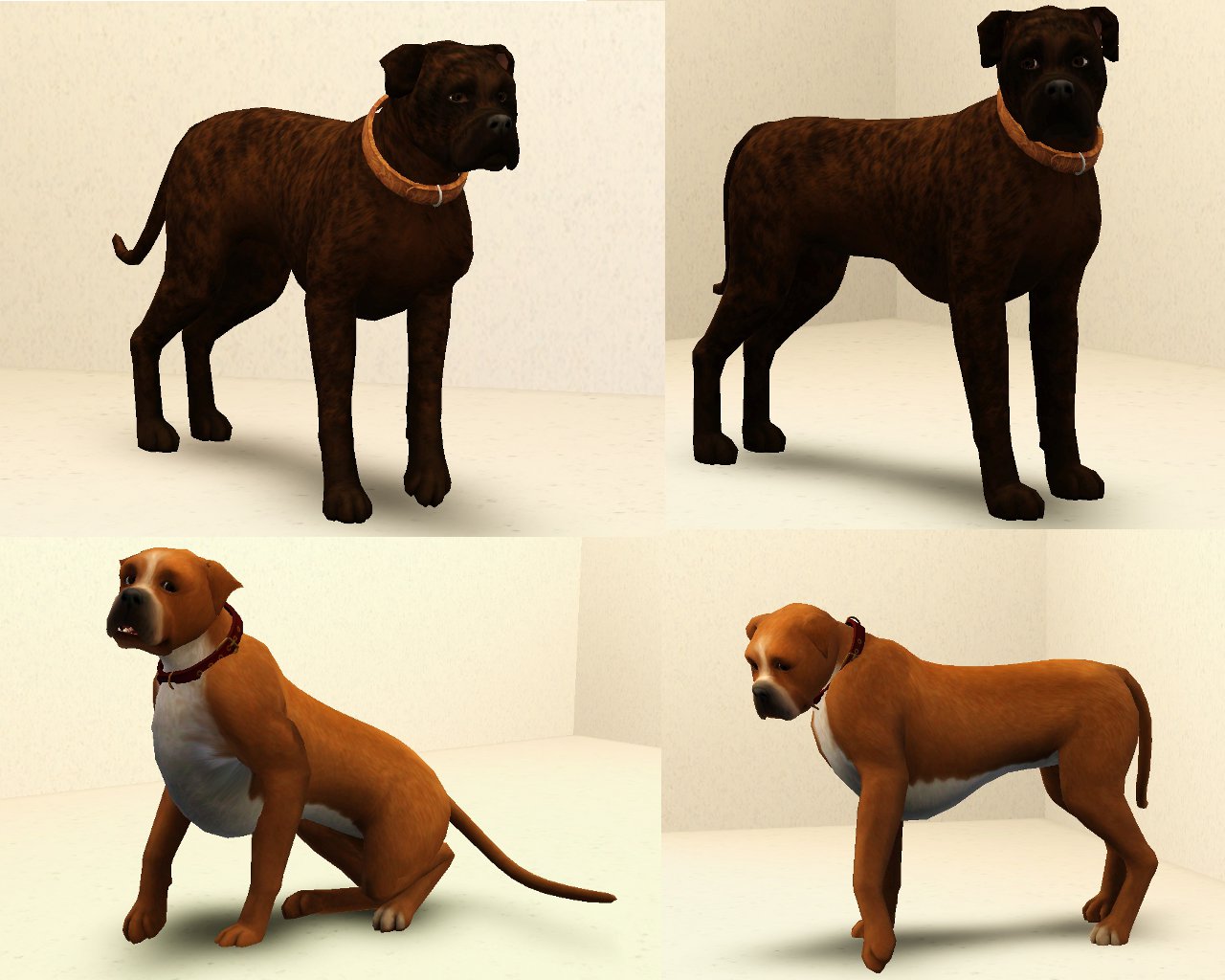 Mod The Sims - Bountiful Boxers: 4 very different dogs up for adoption