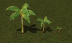 Mod The Sims - Harvestable Banana Plant (Updated 17 Nov 2015)
