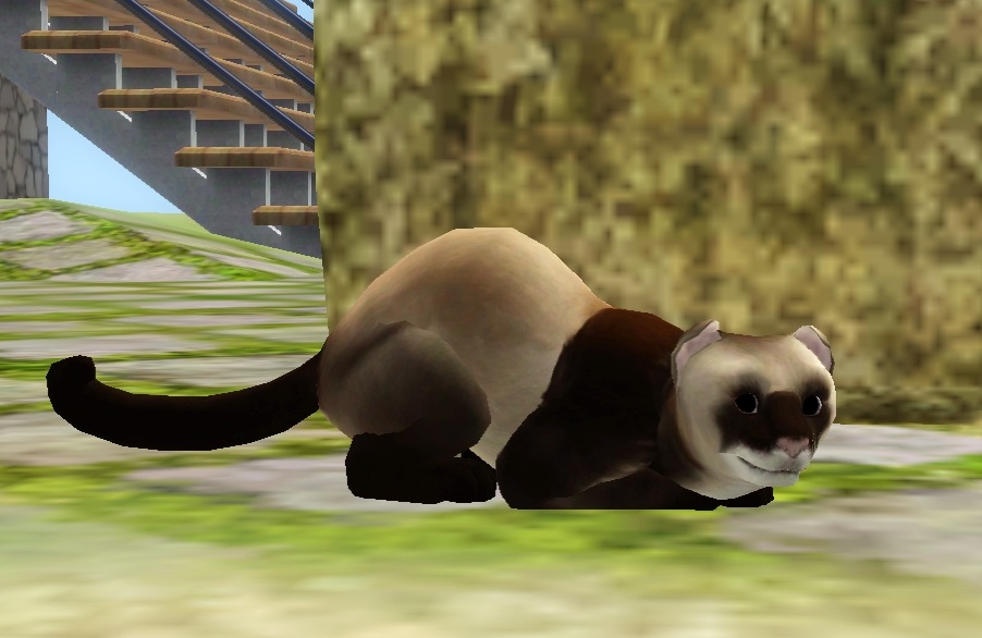 Mod The Sims - Meet Rupert the Ferret! Now with Rupert Jr.!