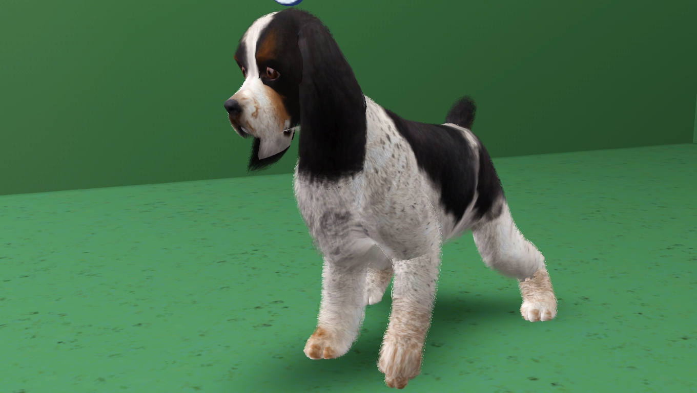 Mod The Sims - A Trio of American Cocker Spaniels