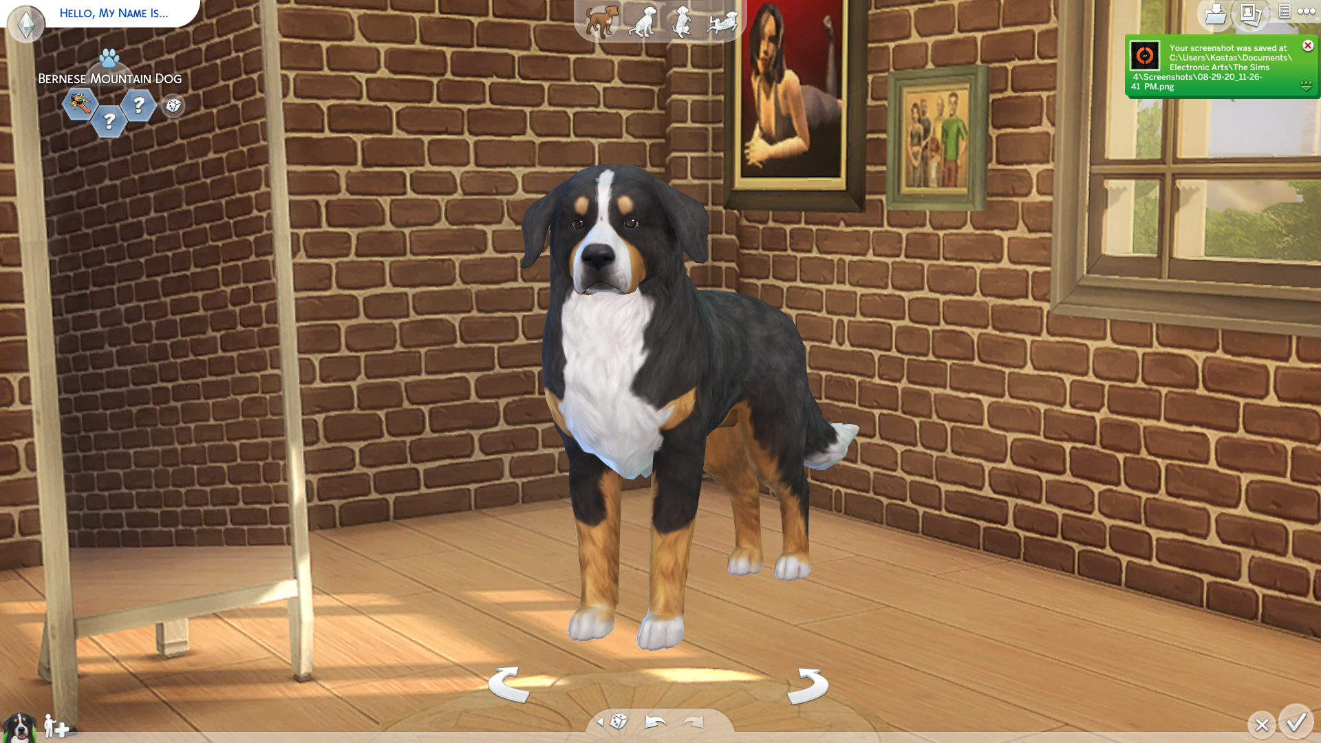 Mod The Sims - TS2 CAS Background 2D Screen (OBSOLETE) + 5 Bonus Items!